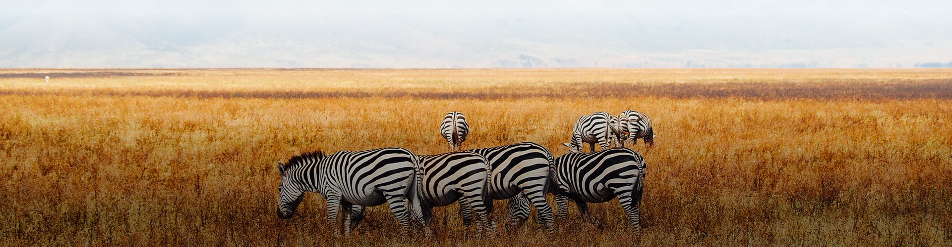 Preservation of the environment - About - Unesco Life on Land